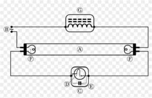 Neon Lamp Circuit: What Is It and How It Works? - EMS